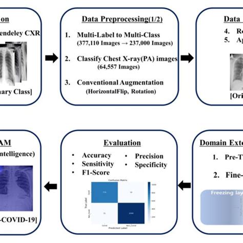 Architecture Of The Covid 19 Cxr Classification Framework Download