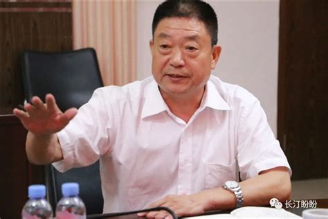副会长动态 盼盼集团电商团队与长汀公司举行融合交流会 中国福建三农网