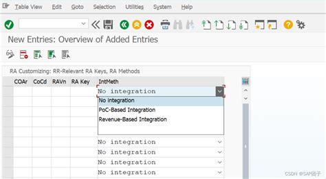 sap rar 结果分析（ra） 拓展项目收入确认能力 sap s4 rar csdn博客