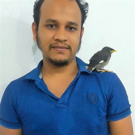 লাল গোলাপ টিভি