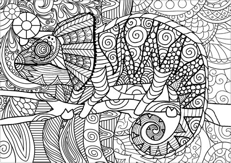 Chameleon On A Branch With Patterns Chameleons And Lizards Coloring Pages