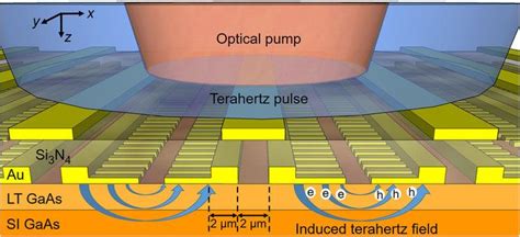 High Sensitivity Terahertz Detection Through Large Area Plasmonic Nano Antenna Arrays Lifeboat