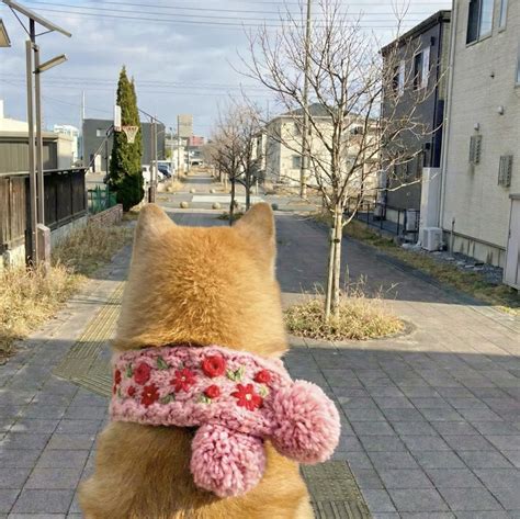 見えなくなるまでお見送りしてるの尊い