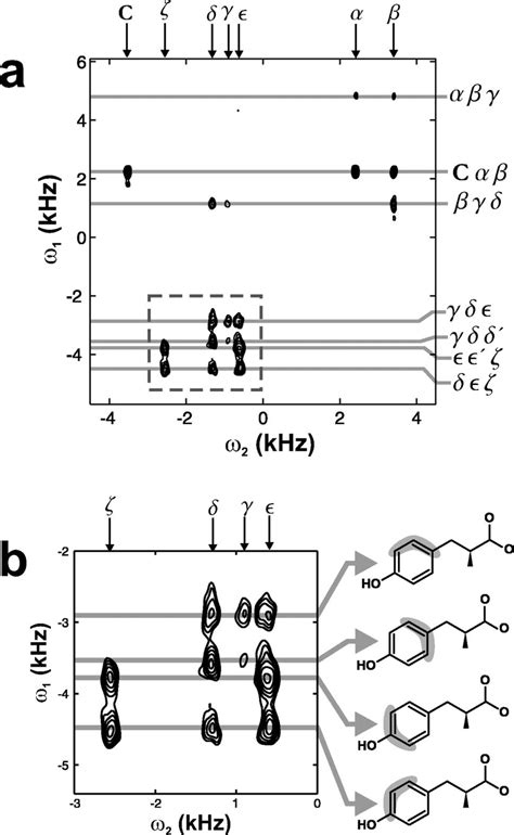A 2d 3q 1q Correlation Spectrum From U 13 C 15 N L Tyrosine At 47 T