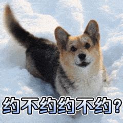 约不约图片 约不约动态图 约不约表情包gif动图下载 SOOGIF