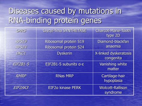 PPT Protein Motifs RNA Binding Domains PowerPoint Presentation Free Download ID