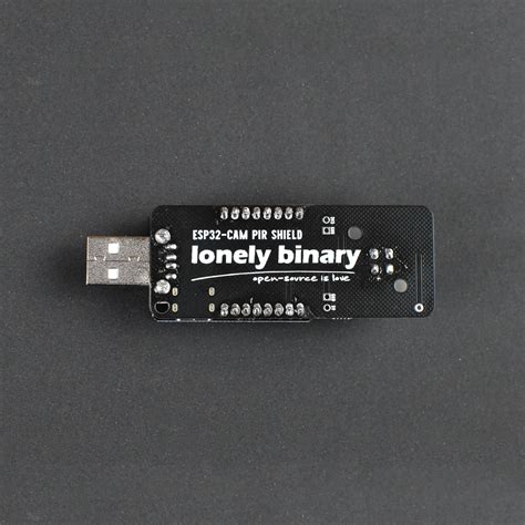 Esp32 Cam Home Security Pir Kit Lonely Binary