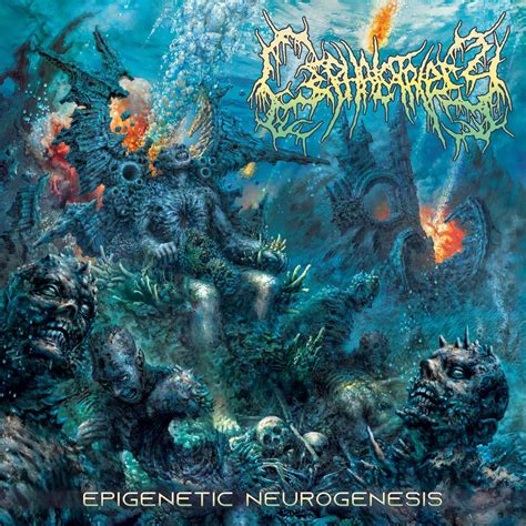 Thrashocore Les News Du 21 Juillet 2024 Cephalotripsy Frostbite