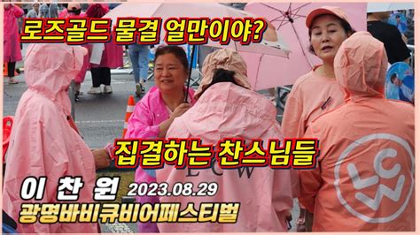 이찬원 바비큐페스티벌 로즈골드물결 얼만이야 이찬원 이찬원광명바비큐비어페스티벌 이찬원노래모음 이찬원신곡 오내언사 사나이청춘 밥한번먹자 찬스 찬또배기