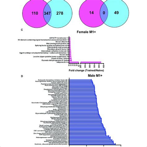 Canonical Signaling Pathway Analysis Of Linear Polyubiquitin Protein