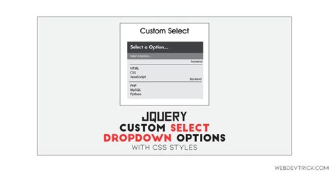 custom select dropdown options with css styles