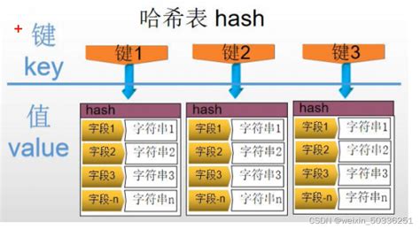 Redis数据类型详解 Csdn博客