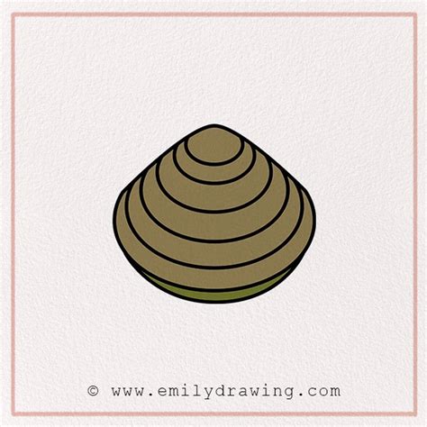 How To Draw A Clam Emily Drawing
