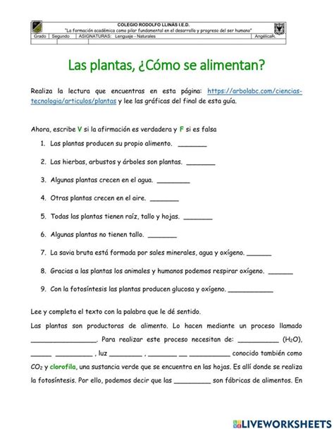 Ejercicio Online De Las Plantas Para Segundo De Primaria Flora My Xxx