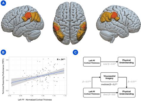 The Area Pf Of The Left Inferior Parietal Cortex And Download