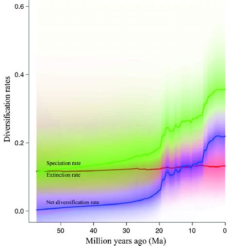 Rate Through Time Plots For Speciation Extinction And Net