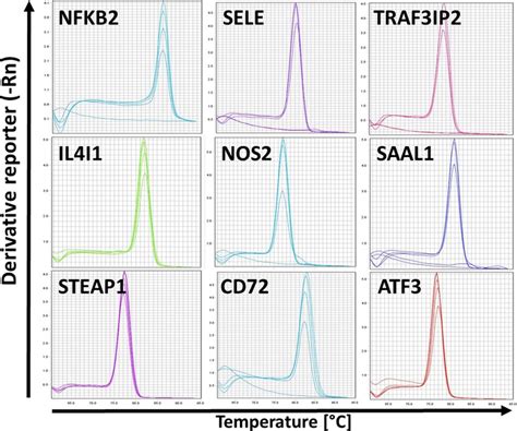 Optimisation Of Primer Pairs Examples Of Melting Curve Analysis Based