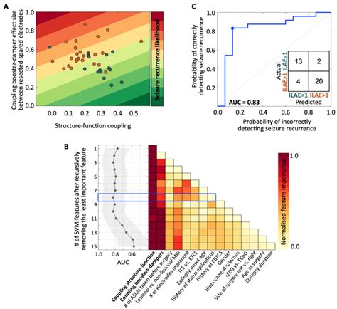 structure function coupling measures rank high in feature importance