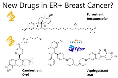 Chris De Savi New Winning Drugs In Er Breast Cancer Oncodaily