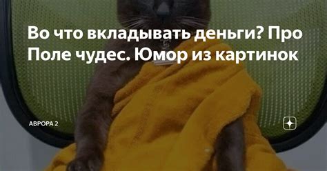 Во что вкладывать деньги Про Поле чудес Юмор из картинок АВРОРА 2 Дзен