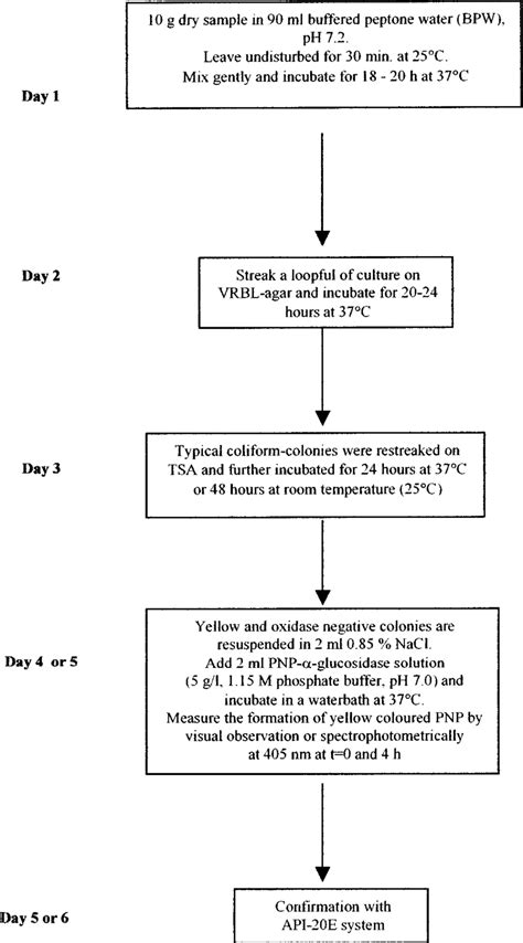 Schematic Diagram For The Enrichment And Identiication Of Enterobacter