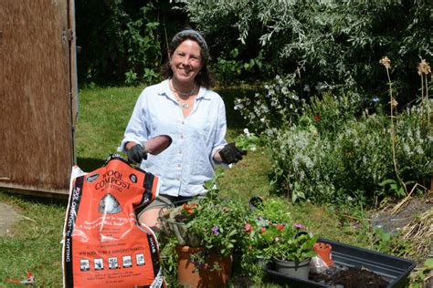 Why Pots And Baskets Are More Than Just A Pretty Face Amateur Gardening