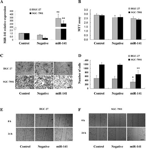 Effects Of Microrna Mir 141 Overexpression On The Migration Of Hgc 27