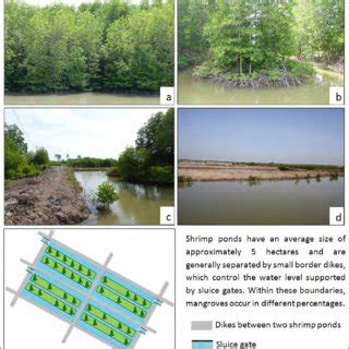 PDF Remote Sensing In Mapping Mangrove Ecosystems An Object Based Approach