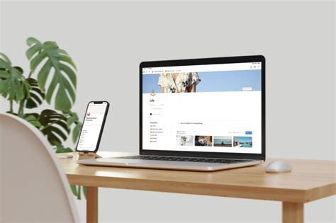 How I Organise My Life And Business In Notion Plannerfly