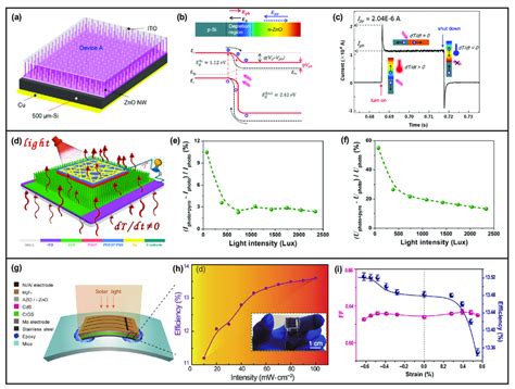 A Schematic Image Of The 500 μm P Sin Zno Nw Heterostructure