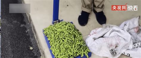 偷韭菜获利8元判刑半年偷韭菜获刑者多次盗窃且有前科 犯罪 蔬菜 灵川县
