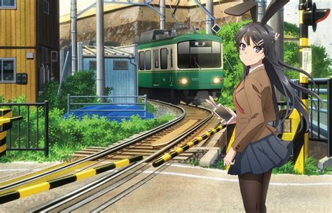 Mai Sakurajima Seishun Buta Yarou Wa Bunny Girl Senpai No Yume Wo