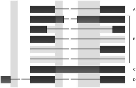 Box Diagram Of Aligned Alternative Splicing Patterns In Relation To A Download Scientific