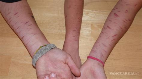 Cutting Skills Printable Worksheets King Printables