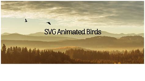 Awesome Css Animations 2 Animated Svg Birds