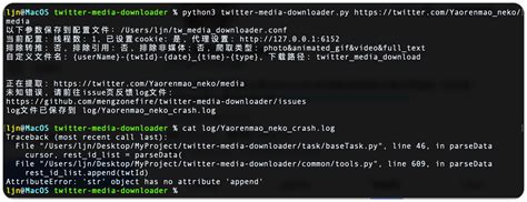 Media 我怎么下不了 · Issue 40 · Mengzonefiretwitter Media Downloader · Github