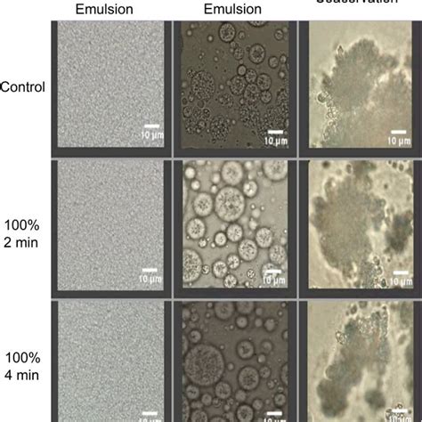 Optical Micrographs Of The First Emulsion Double Emulsion And Download Scientific Diagram