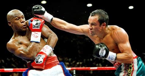 알고 보면 꿀잼메이웨더vs맥그리거 필살기는