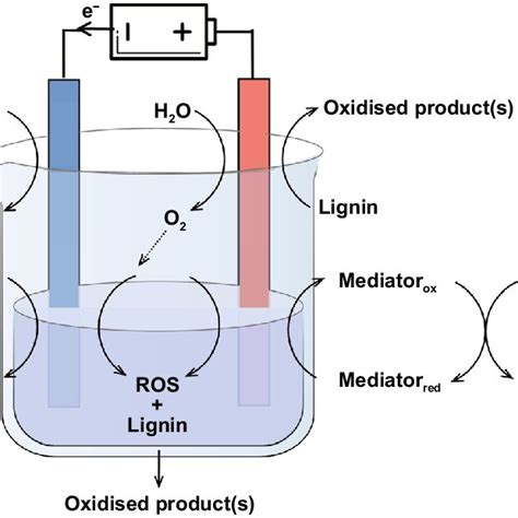 Electrochemical Lignin Valorization Electro Oxidation At The Anode Via Download Scientific