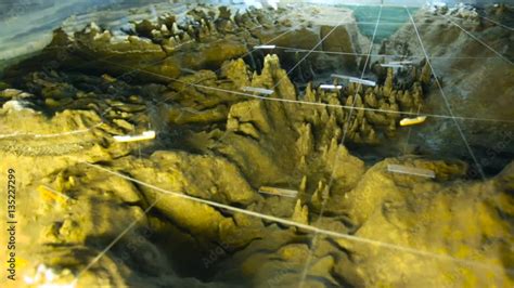 Detailed Examination Of The Surface Of The Sea Floor Layout From Left To Right The Layout Of