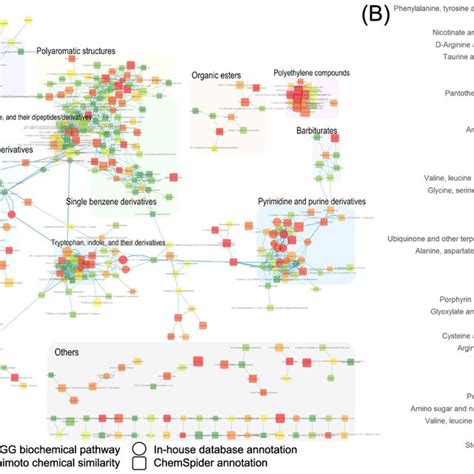 Compounds In Nasal Epithelial Lining Fluid Annotated By Both In House