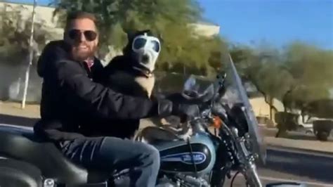 Fundraiser For Noah Mckay By Justin Fifer Noah Mckays Motorcycle