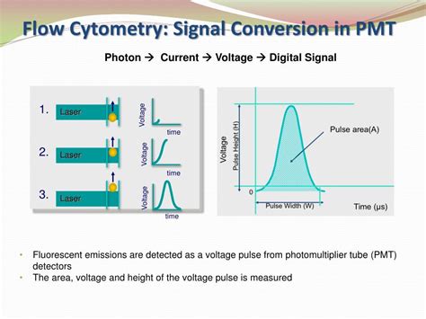 Ppt Flow Cytometry 101 The “what Why And How” Immu7040
