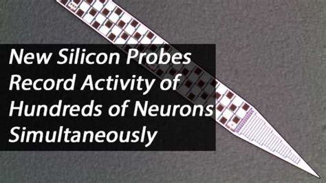 Neuroscience News Page 842 Technology Networks