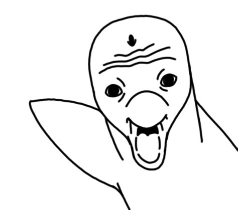 Pointing Dolphin Wojak Wojak Land