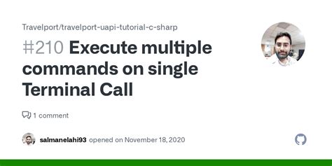 Execute Multiple Commands On Single Terminal Call Issue 210