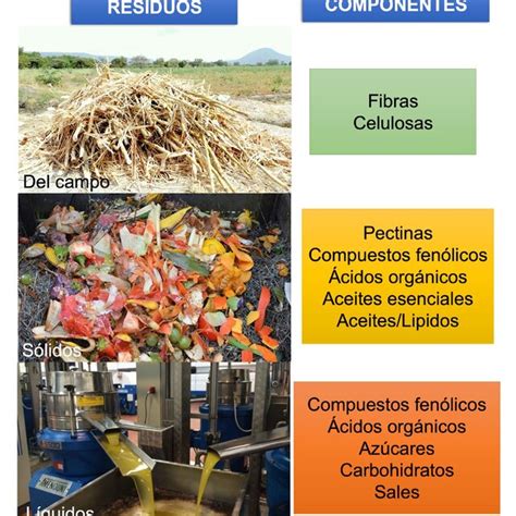 Pdf Residuos Agroalimentarios ¿quÉ Son ¿quiÉn Los Genera Y ¿por QuÉ