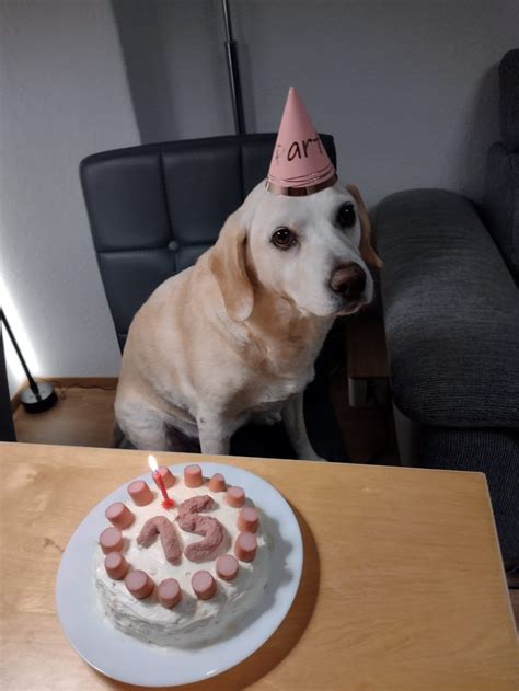 My Birthday Girl Showed Lots Of Restraint R Aww