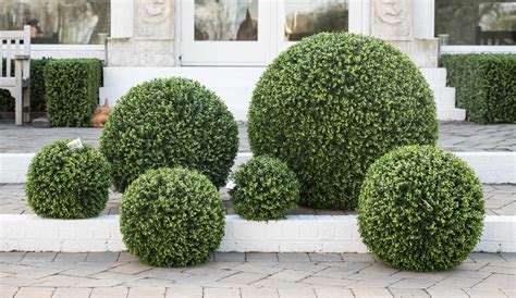 Artificial Topiary Ball Trees 35 Uv Resistant Artificial Cedar
