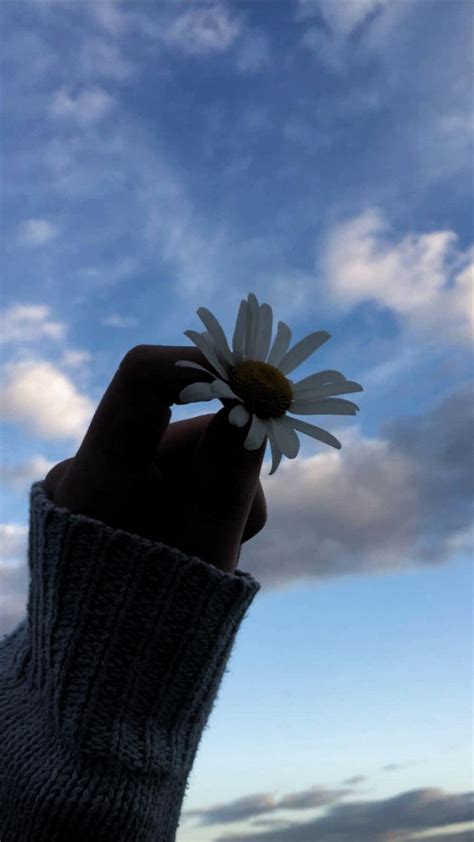 Pin By Fatima Hussain On Aesthetics Profile Pictures Instagram Shadow Pictures Instagram
